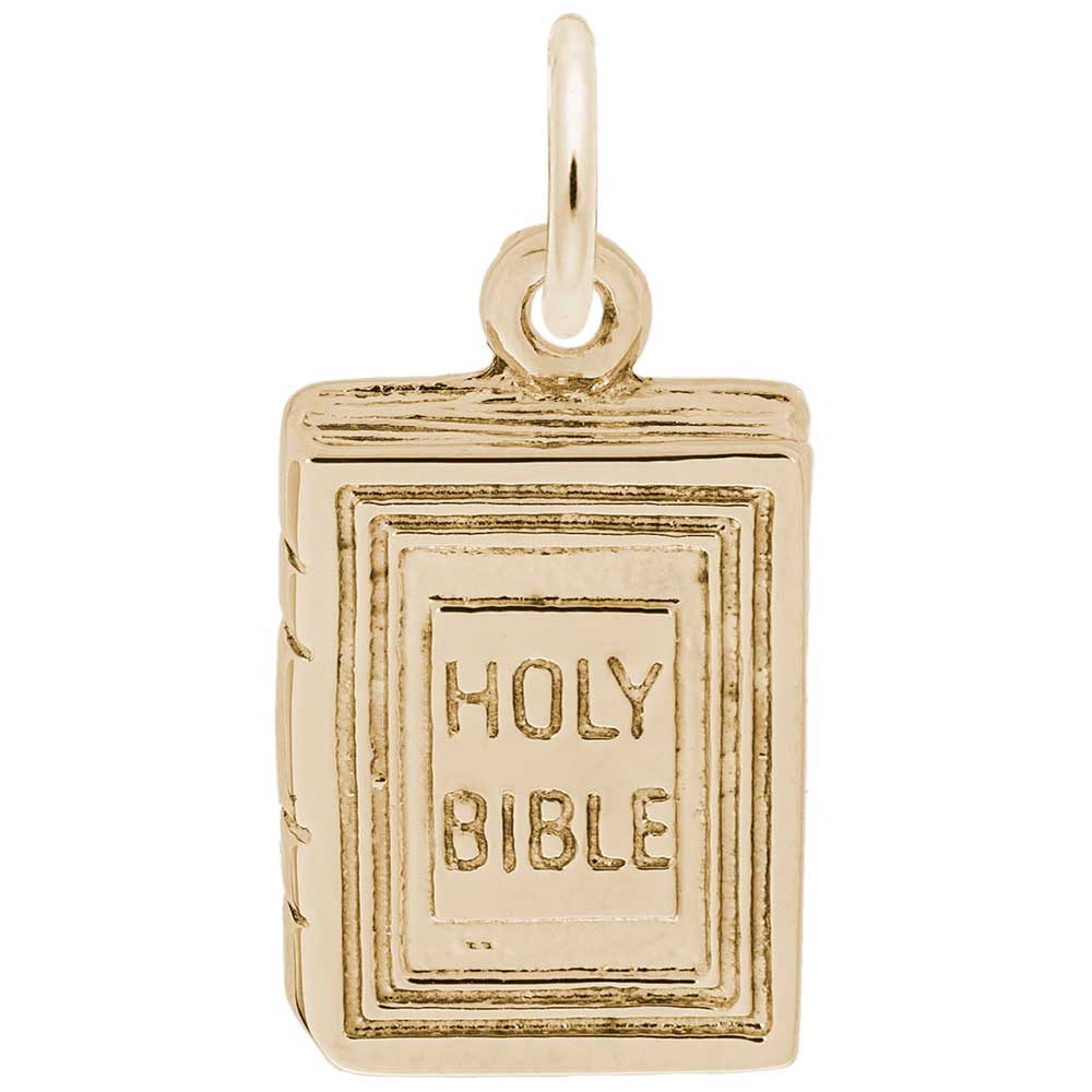 Precious Charms: New Holy Bible Charm