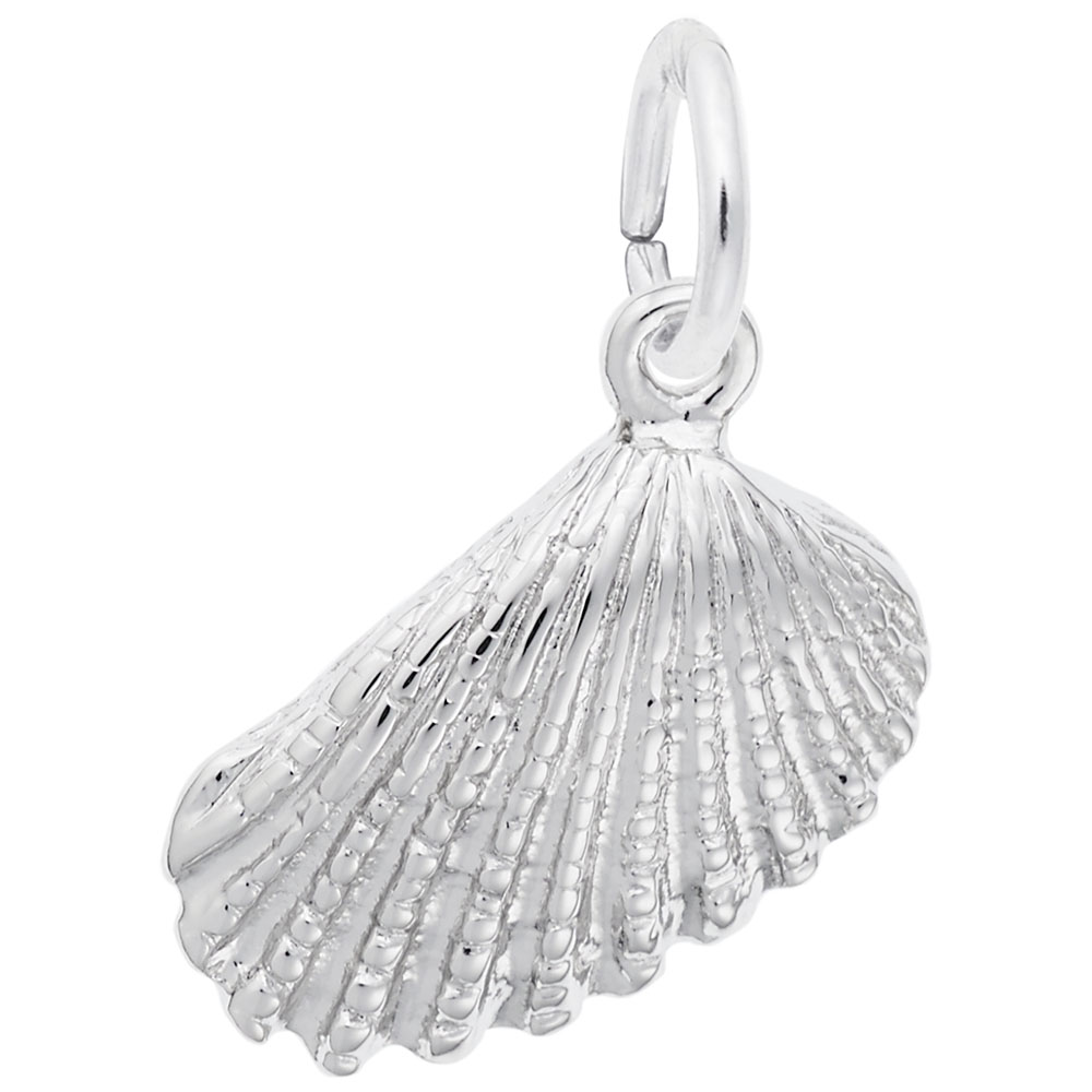Precious Charms: Angel Wing Shell Charm